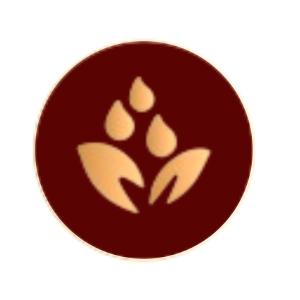 Accounting Services in UAE